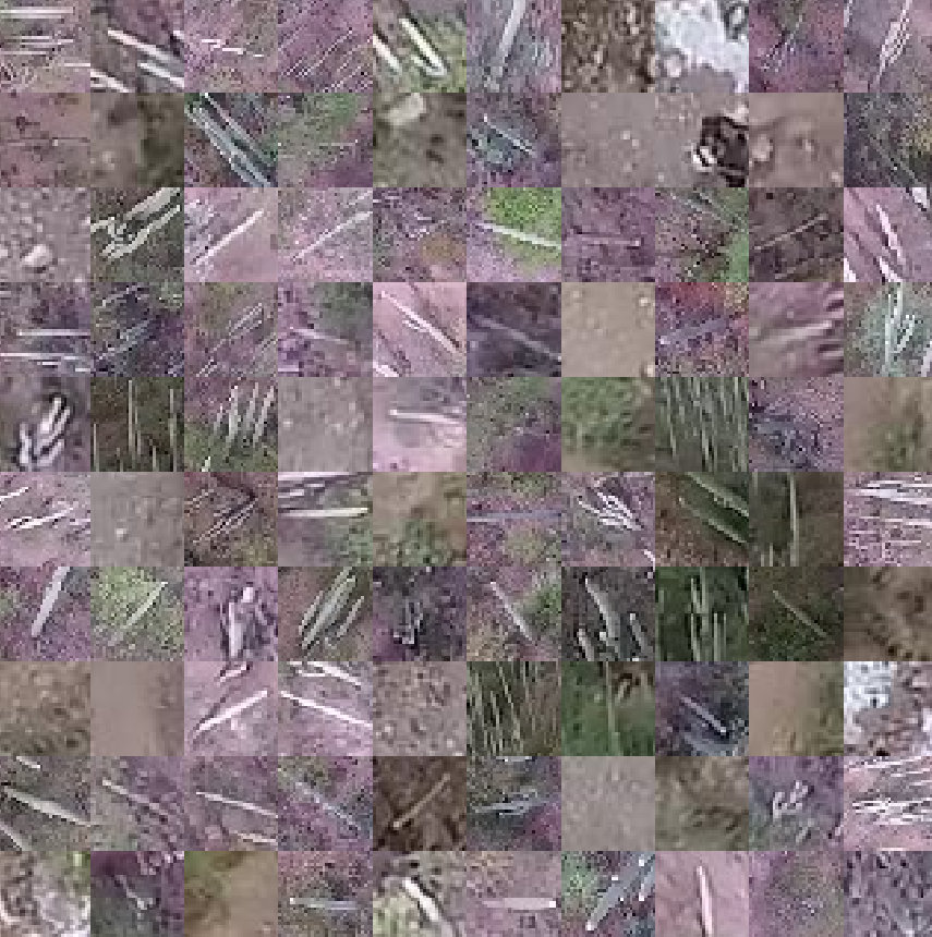 Aerial Cactus Identification – Maxwell